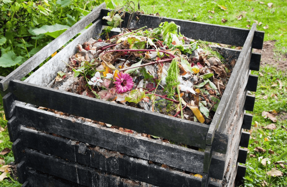 Peut-on planter directement dans du compost ? - Fraimenbon